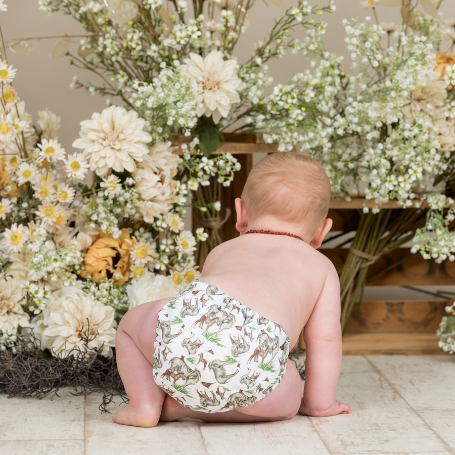 Day Kit (Onesize Pocket Nappy Complete Kit) – LittleLamb